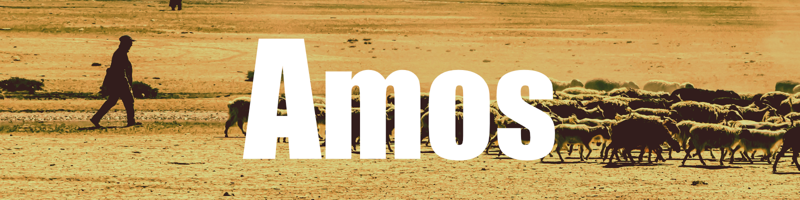 Amos: A Minor Prophet – ICFFrankfurt