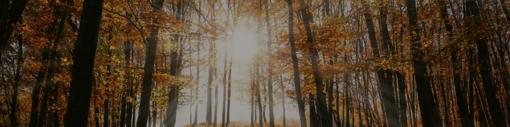 ICFFrankfurt – International Christian Fellowship